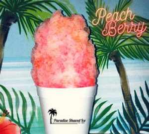Paradise Shaved Ice Service | KidzonePartyRentals.com Indianapolis IN